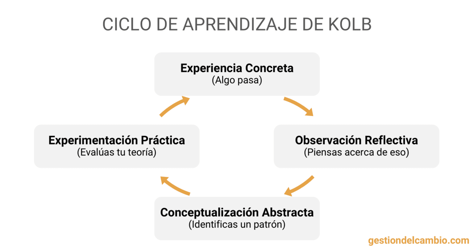 Cómo Adaptar los Estilos de Aprendizaje para una Gestión del Cambio Más Efectiva - Gestión del ...