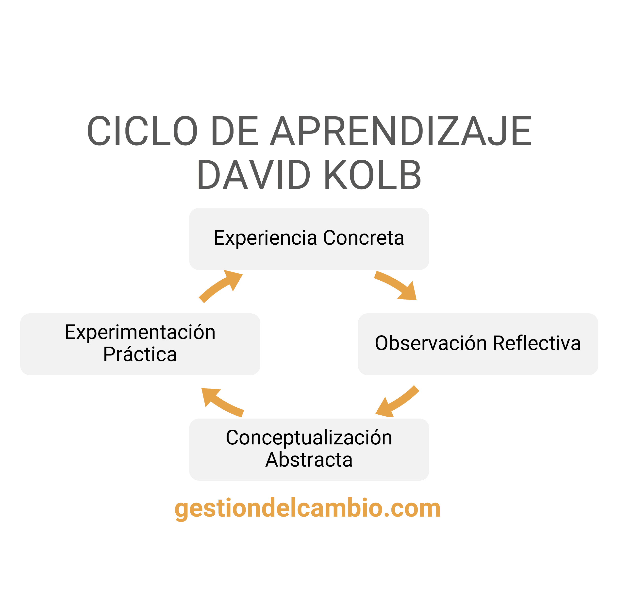 Cómo Adaptar los Estilos de Aprendizaje para una Gestión del Cambio Más Efectiva - Gestión del ...